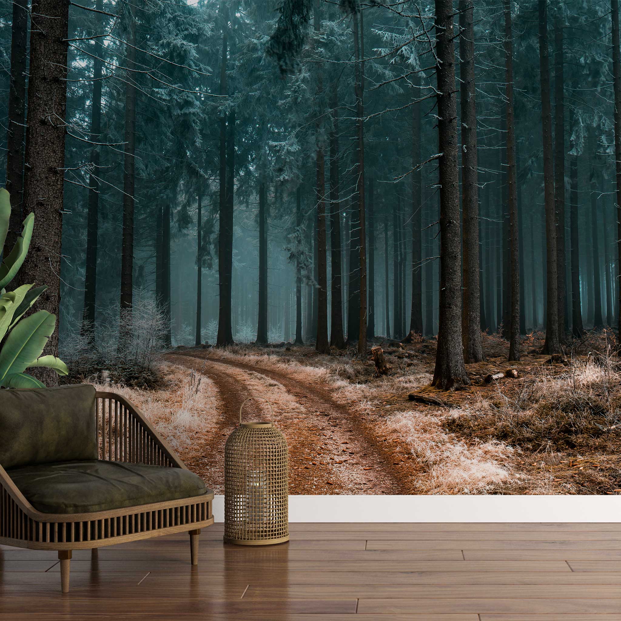 Wall Wrap NZ - Transform Your Space with Stunning Wall Wraps – Wall ...